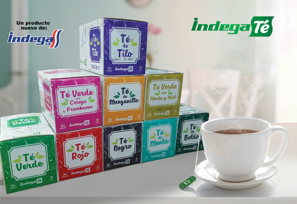 Indega Té - Sabores para todo el día - Té Negro, Rojo, Verde, Hierbas e ...